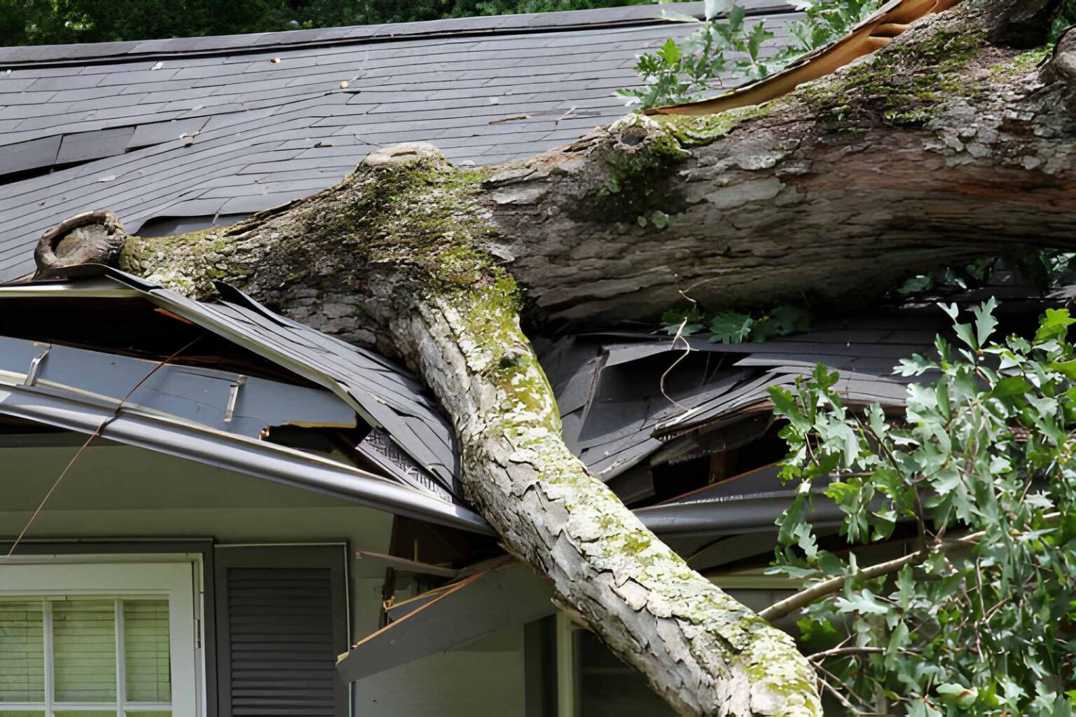 Storm Arthur Damage In SE Louisiana | Lone Wolf Roofing
